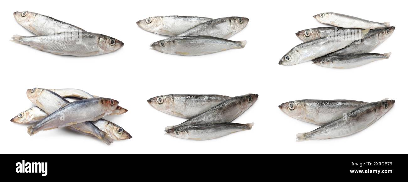 Whole sprats hi-res stock photography and images - Alamy