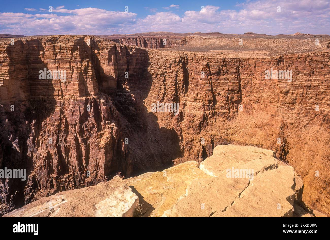 Overlook at Little Colorado River Gorge Navajo Tribal Park where far ...