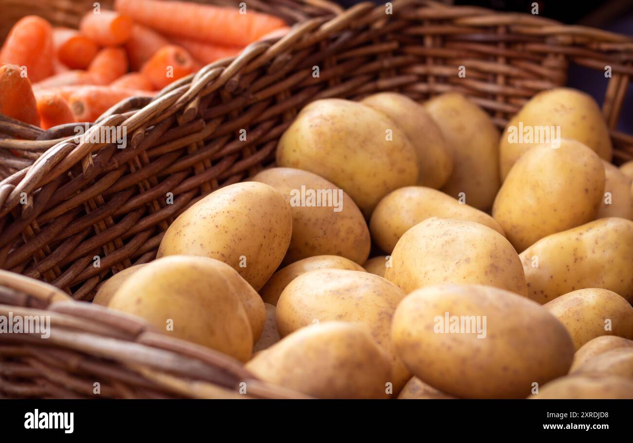 Organic potatoes in a selection of freshly harvested ripe vegetables ...