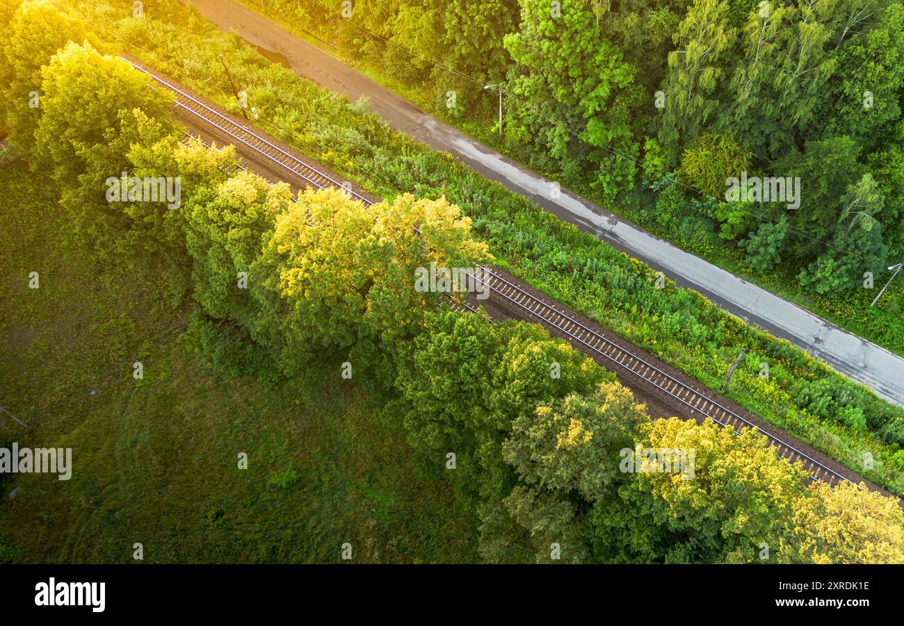 Sunlit forest pathway golden hi-res stock photography and images - Alamy