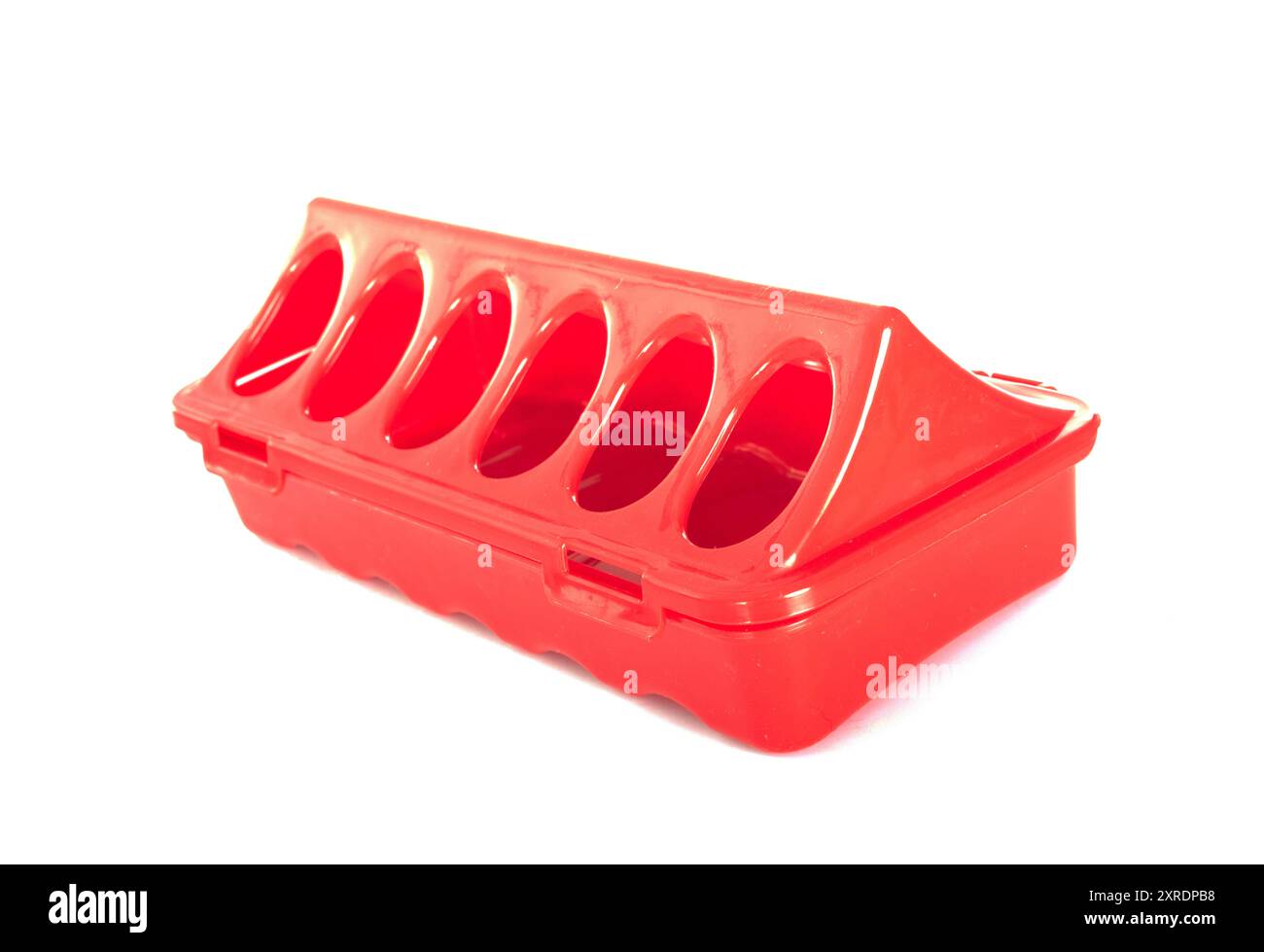 red chicken feeder in front of white background Stock Photo - Alamy