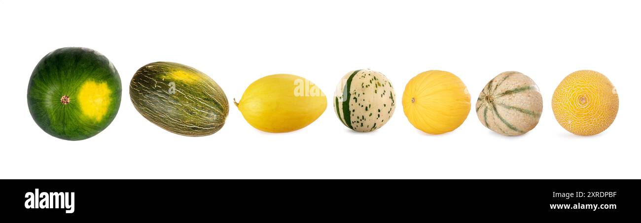 varieties of melon in front of white background Stock Photo - Alamy