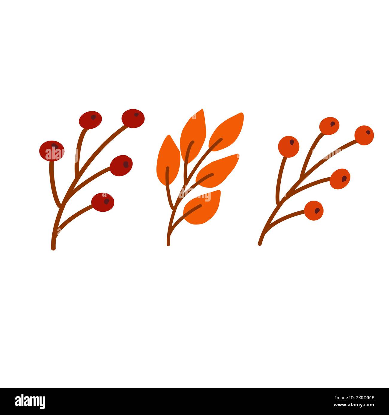 Nature inspired gardening hi-res stock photography and images - Alamy