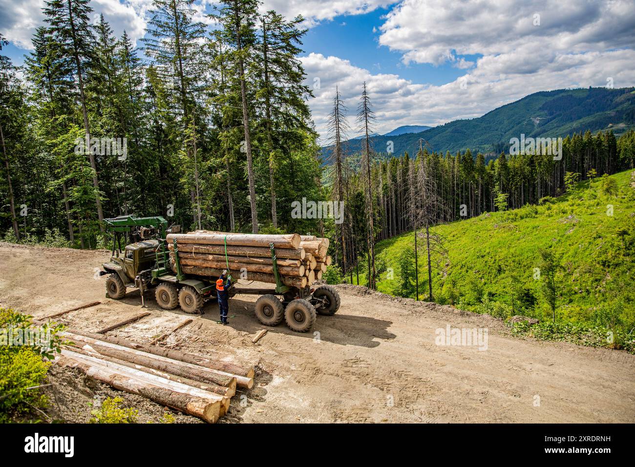 Logging equipment. Lumberjack with modern harvester working in a forest ...