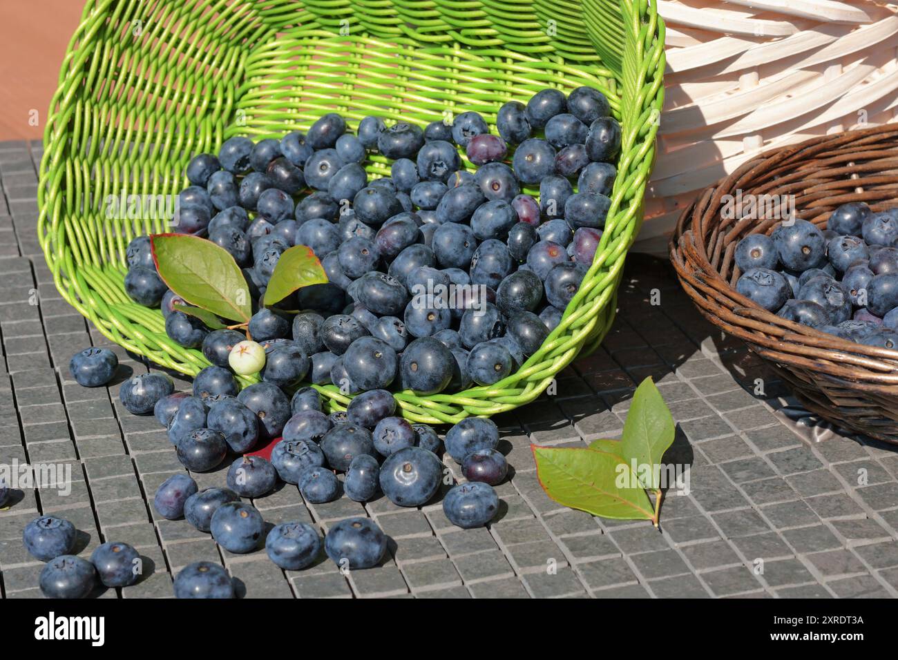 Fresh blueberries in basket in background. Summer and harvest. Useful ...