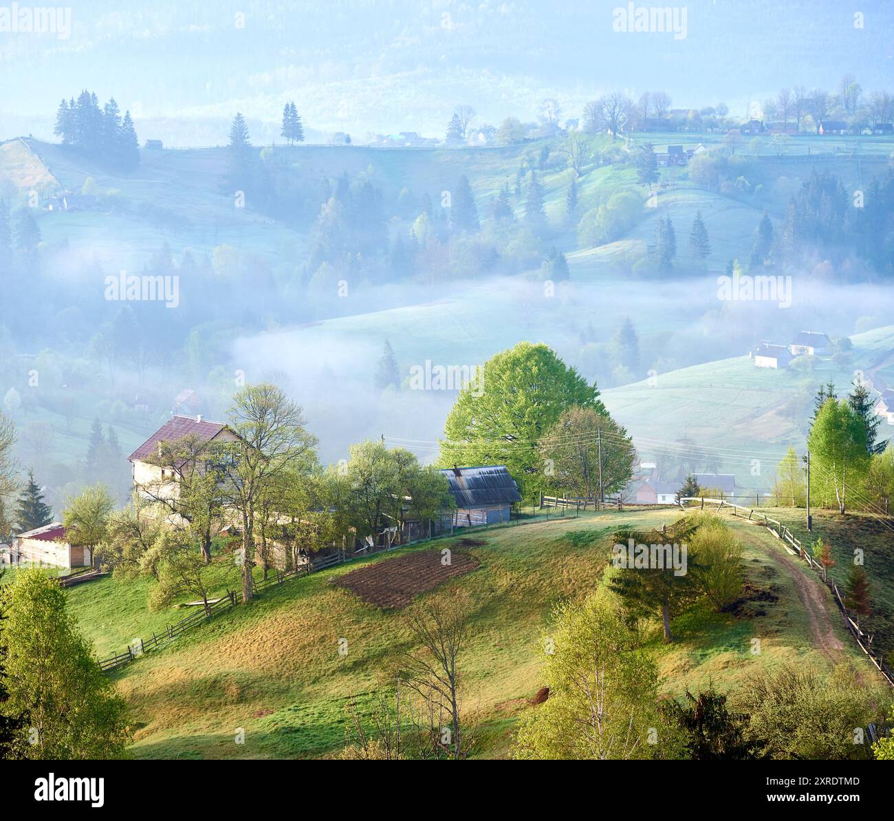 Serene countryside morning with mist rolling over gentle hills ...