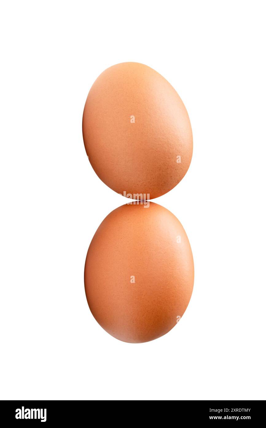 Front view of two fresh brown chicken eggs in stack is isolated on ...