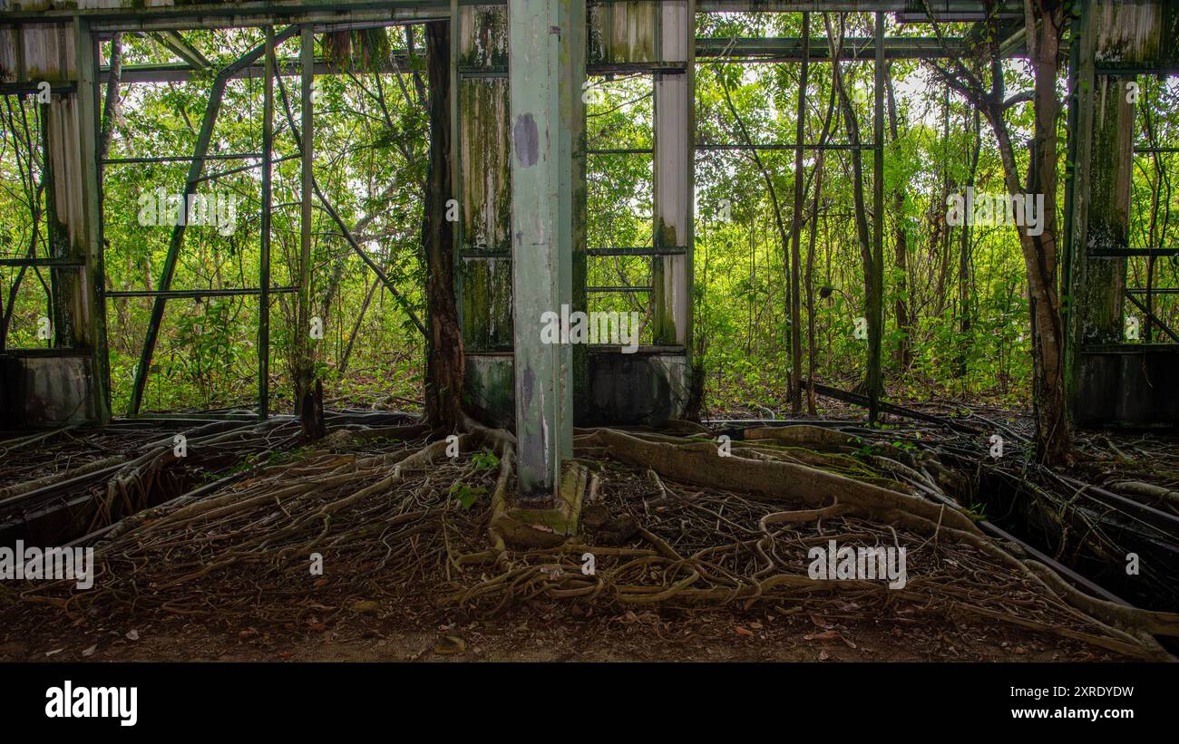 Apoera Railwaystation Suriname never used and abandoned leaving a 300 ...