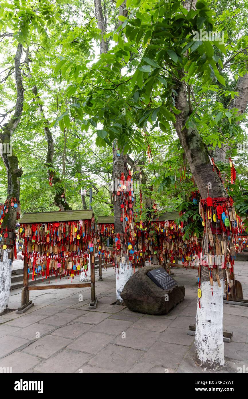 Popular bodhi wishing tree in Huanglongzi ancient town in Sichuan Chian ...