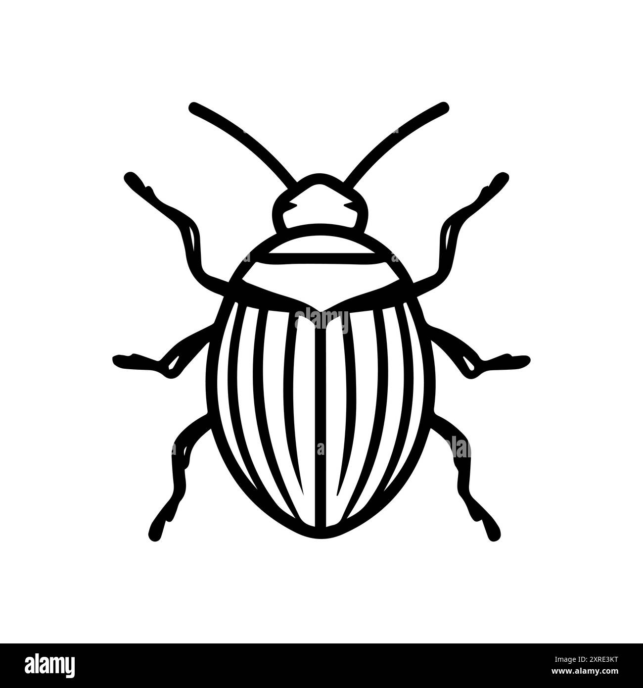 Isolated centipede Black and White Stock Photos & Images - Alamy