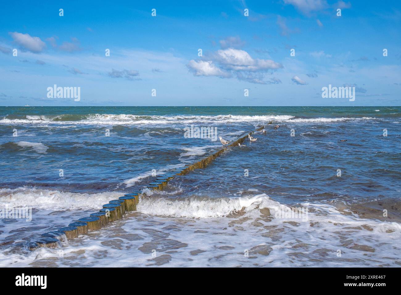 Strand Graal Müritz Deutschland im Sommer 2024: Buhnen zur ...