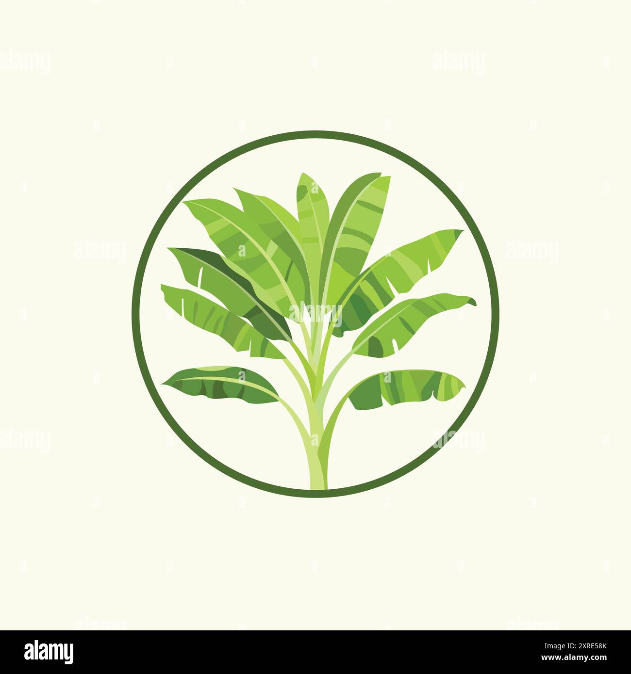 Banana circle shape hi-res stock photography and images - Alamy