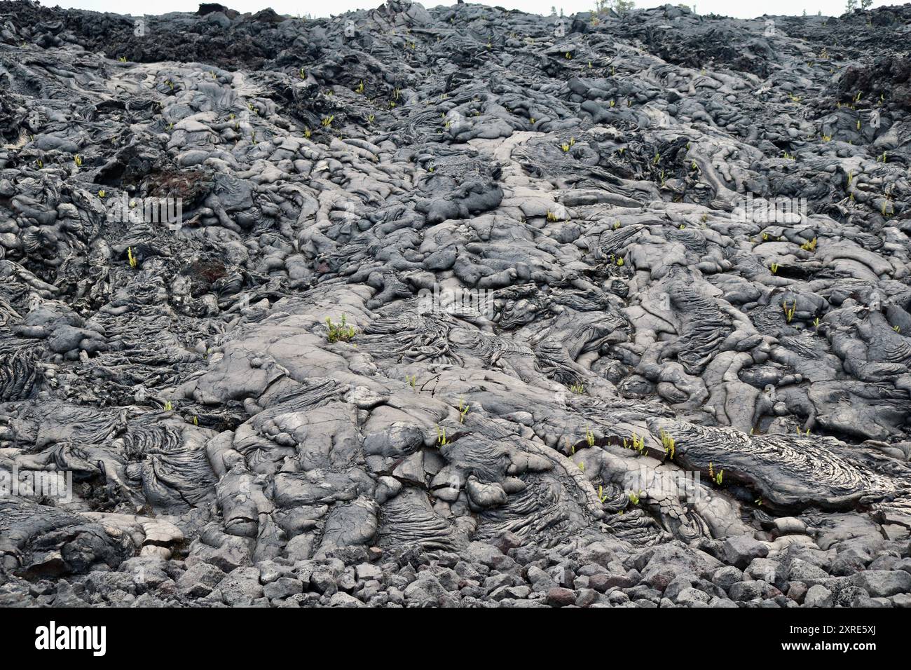 Dried Lava Flow, Big Island Hawaii Stock Photo - Alamy