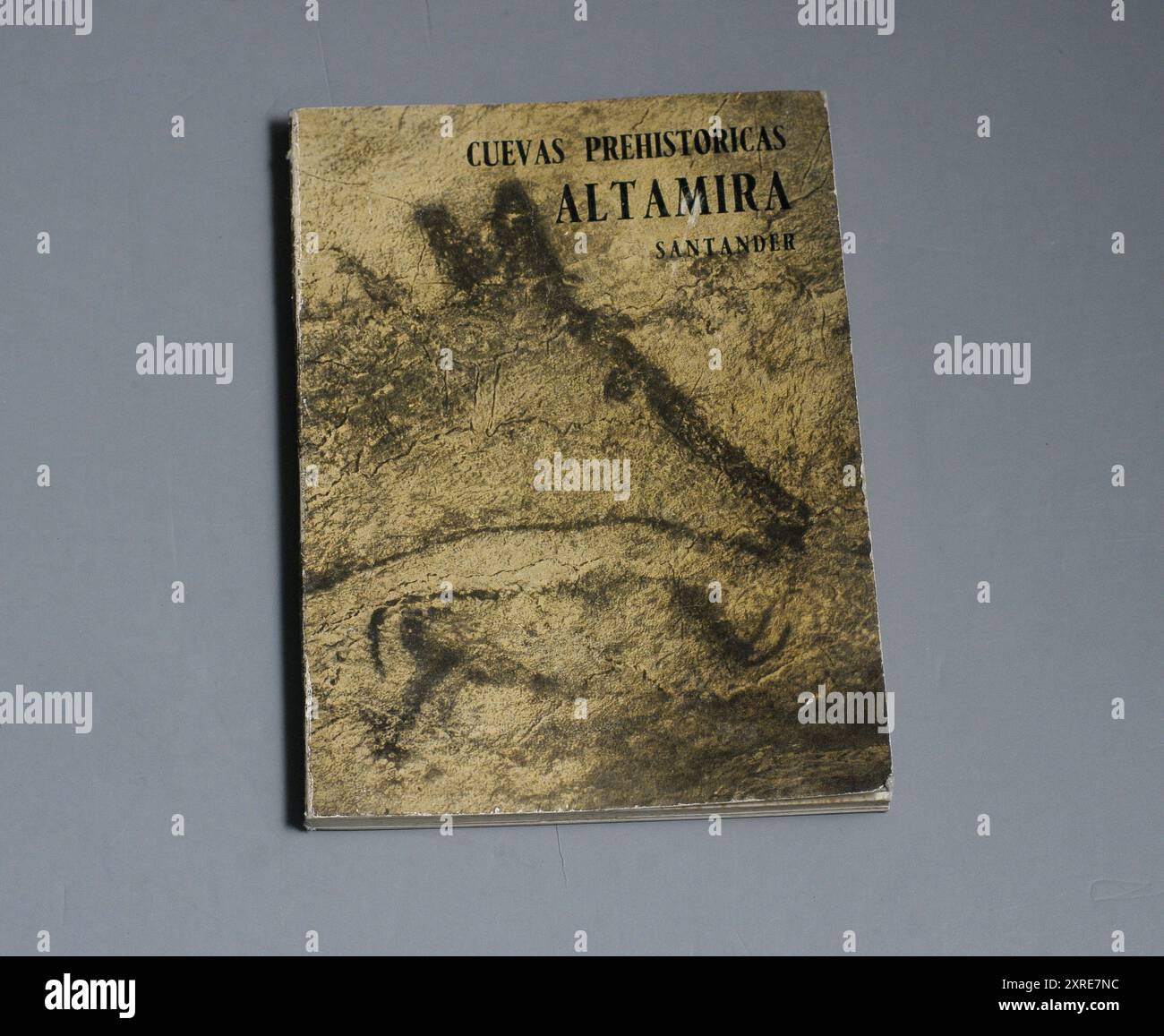 the prehistoric caves of Altamira, Santander. History, Prehistory ...