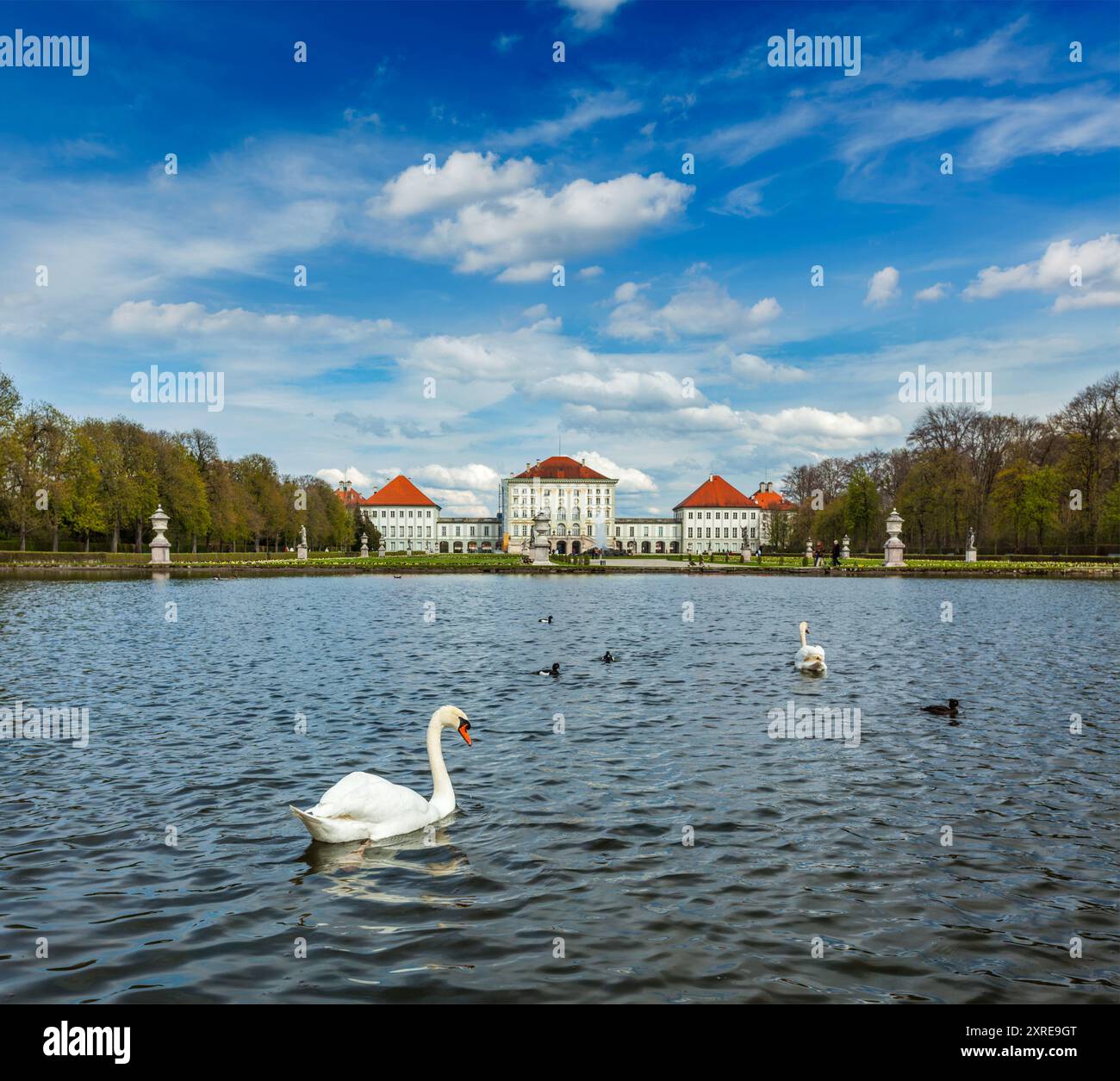 Swan and Nymphenburg Palace. Munich, Bavaria, Germany Stock Photo - Alamy