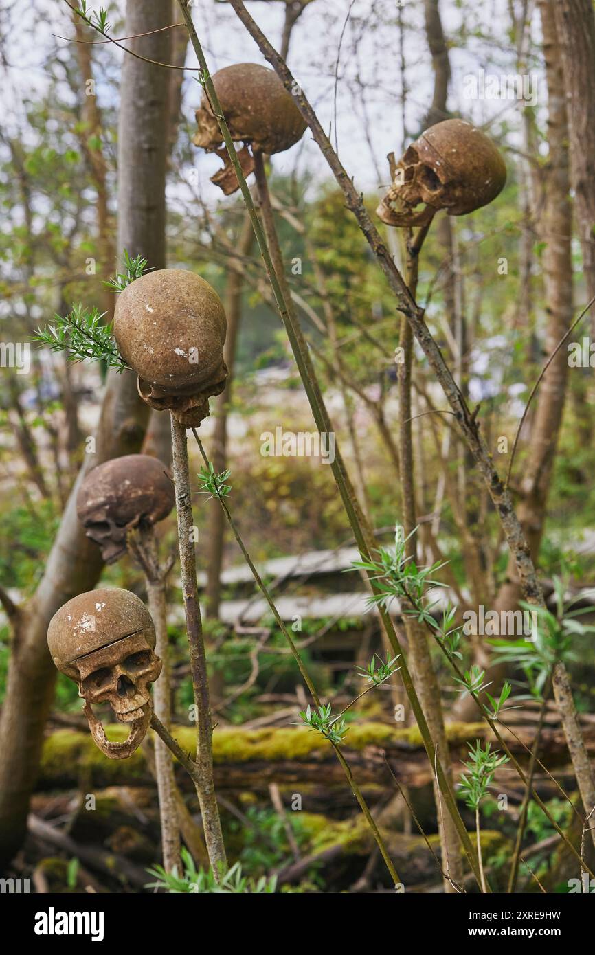 Old human skulls hi-res stock photography and images - Alamy