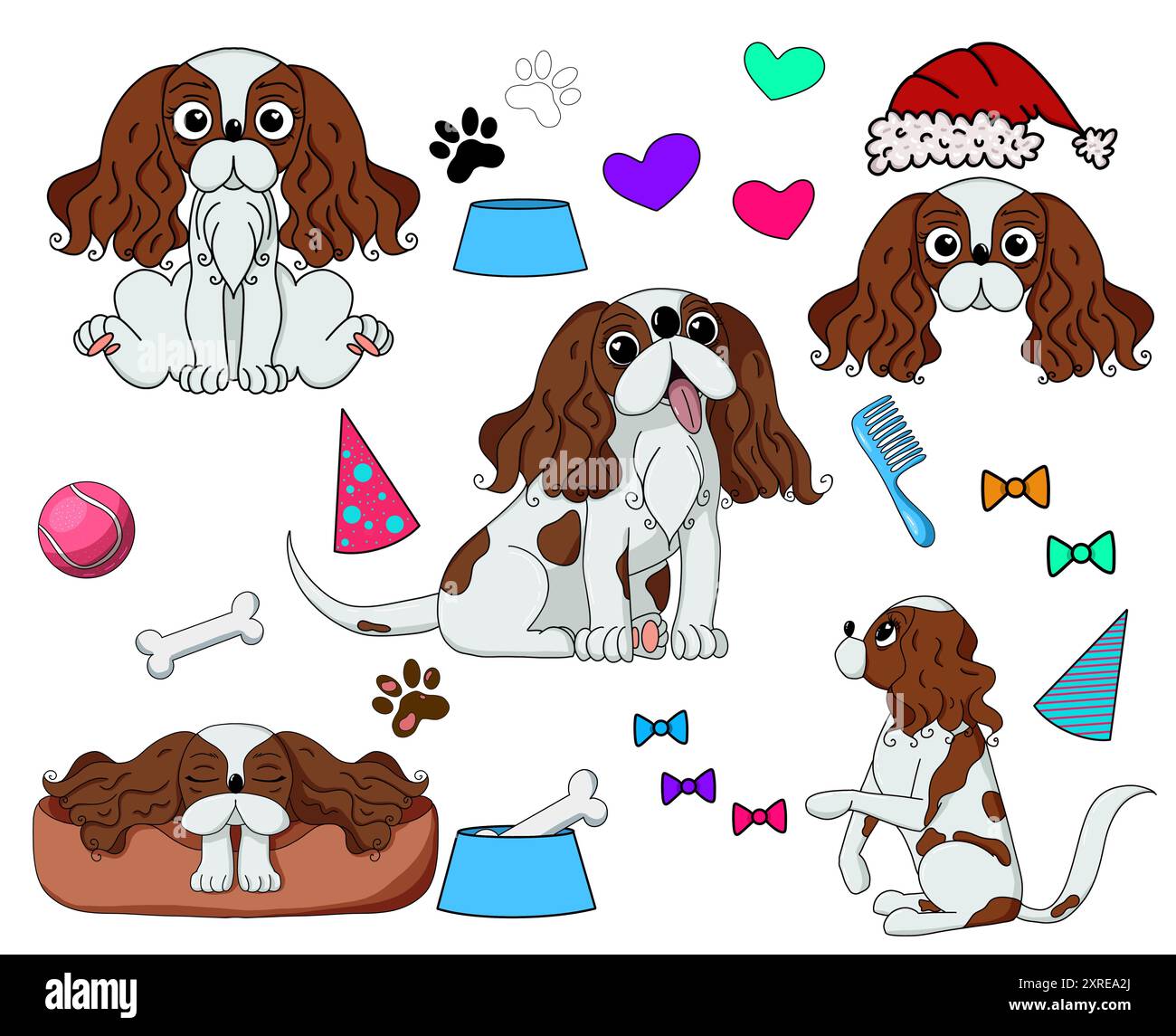 Dog breeds chart hi-res stock photography and images - Alamy