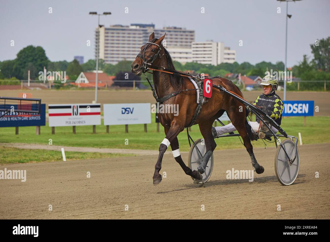 Odense, Denmark, May 31, 2024: Horse racing with carts at hippodrome ...