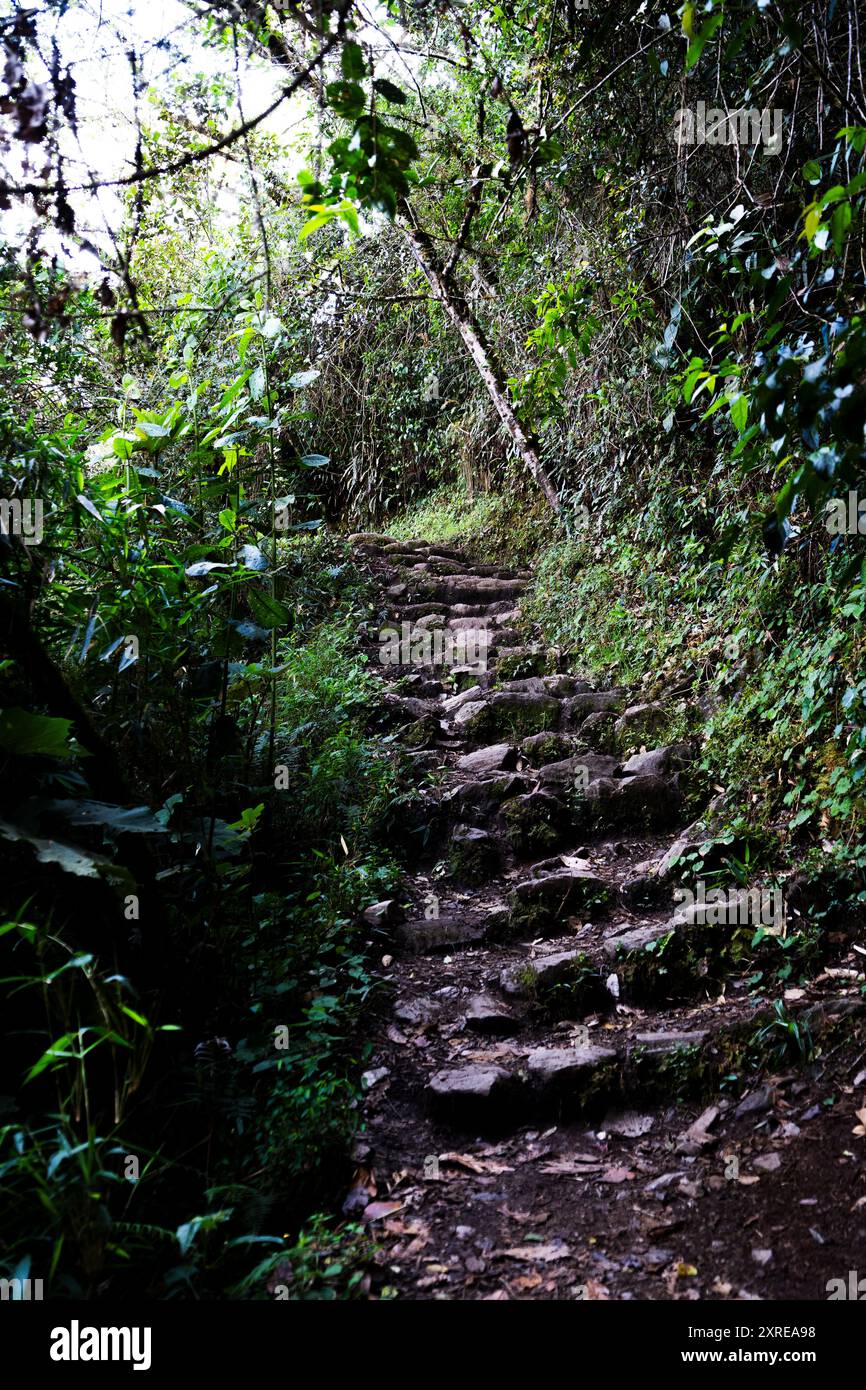 Inca stone steps hi-res stock photography and images - Alamy