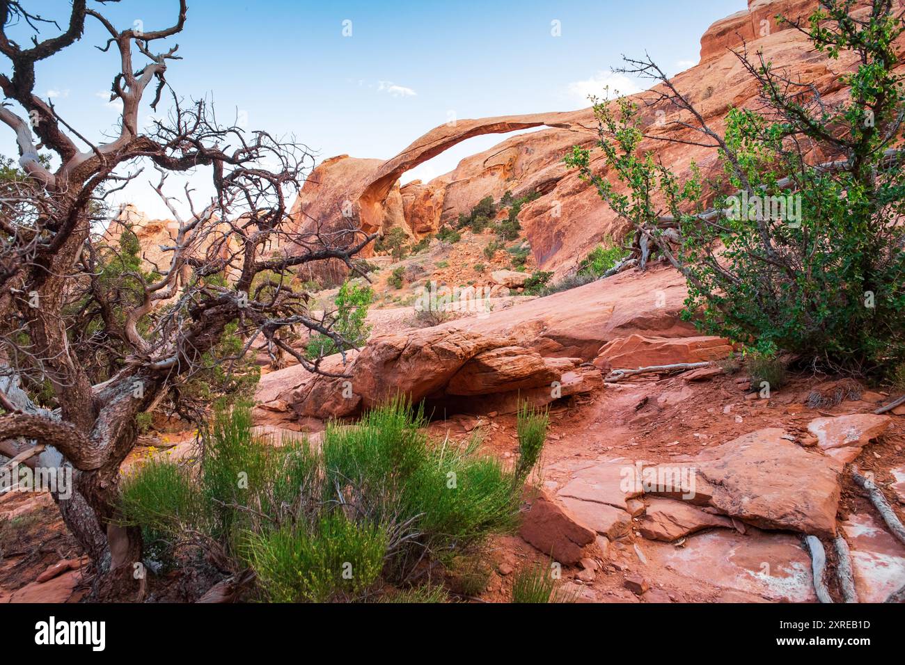 The stunning Landscape Arch in Arches National Park, Utah, showcases ...