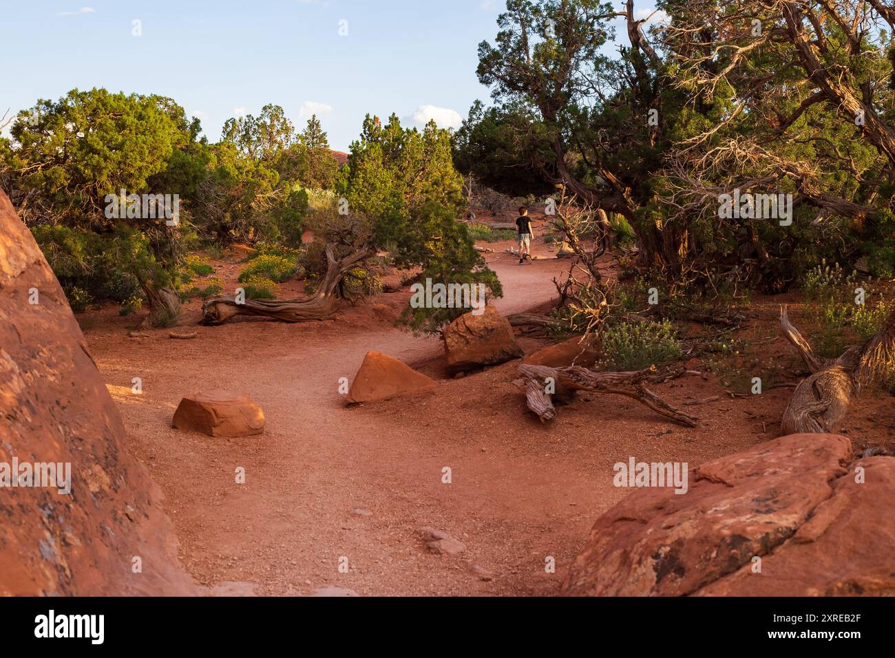 Sandy Terrain On Devils Garden Trail In Arches National Park Utah