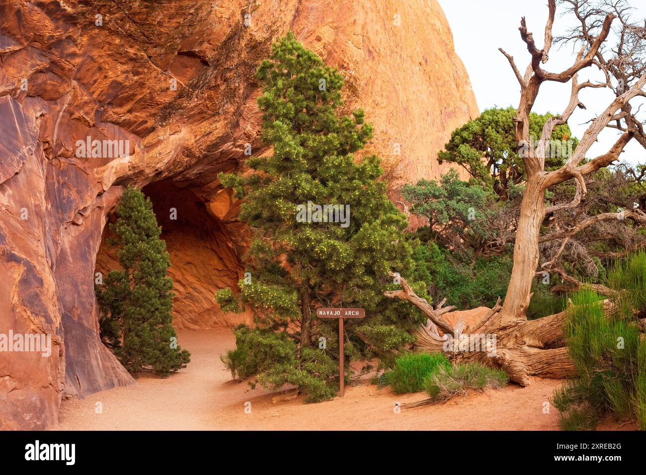 Navajo Arch in Devils Garden Train in Arches National Park. Peaceful, secluded spot with a thick ...