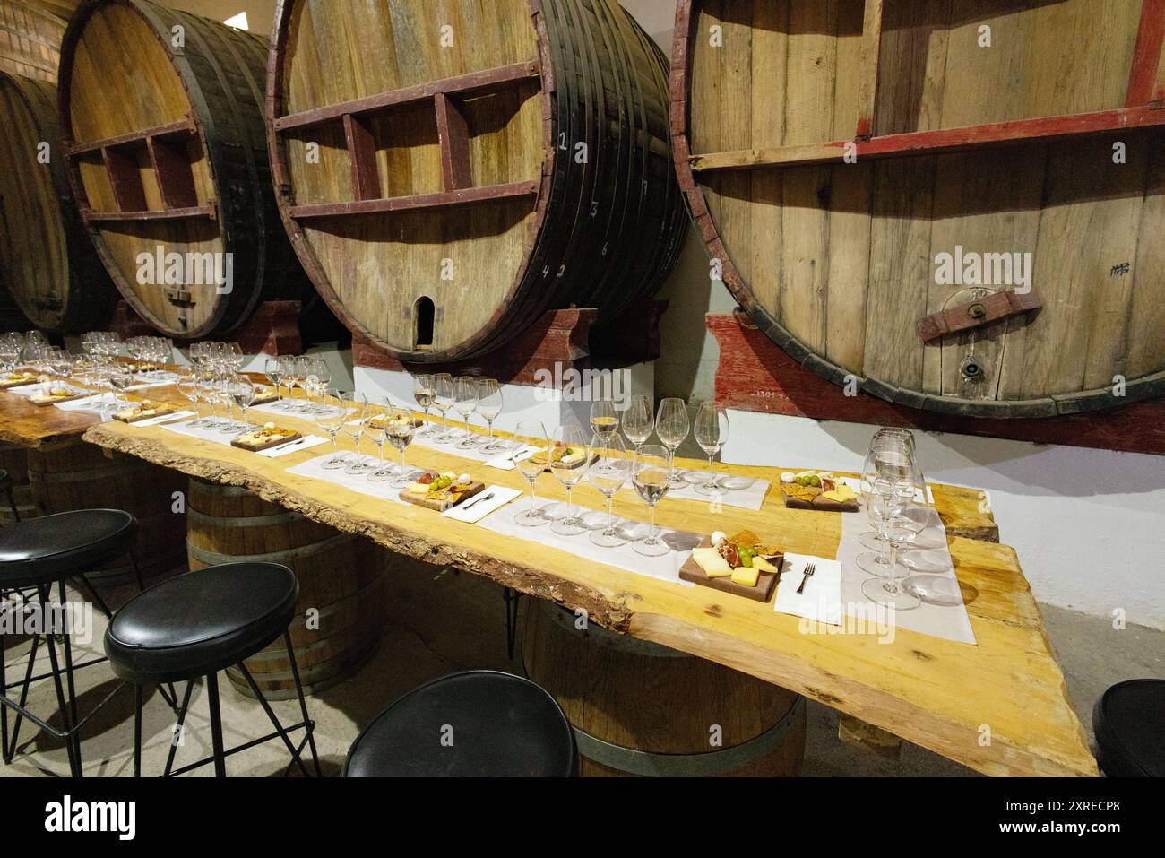 Wine tasting table set with wine glasses, and food; The wine cellar ...