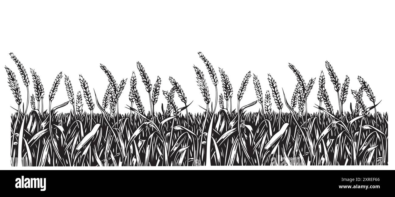Wheat village landscape vector. fields with harvest Stock Vector Image ...