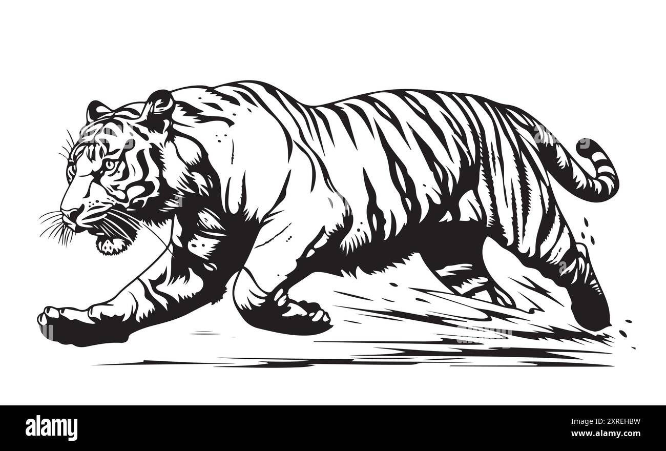Tiger running hand drawn engraving style sketch Vector illustration ...