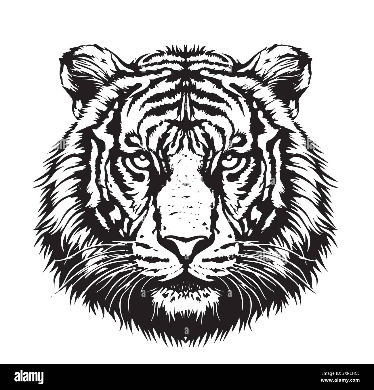 Tiger hand drawn engraving style sketch Vector illustration Stock ...