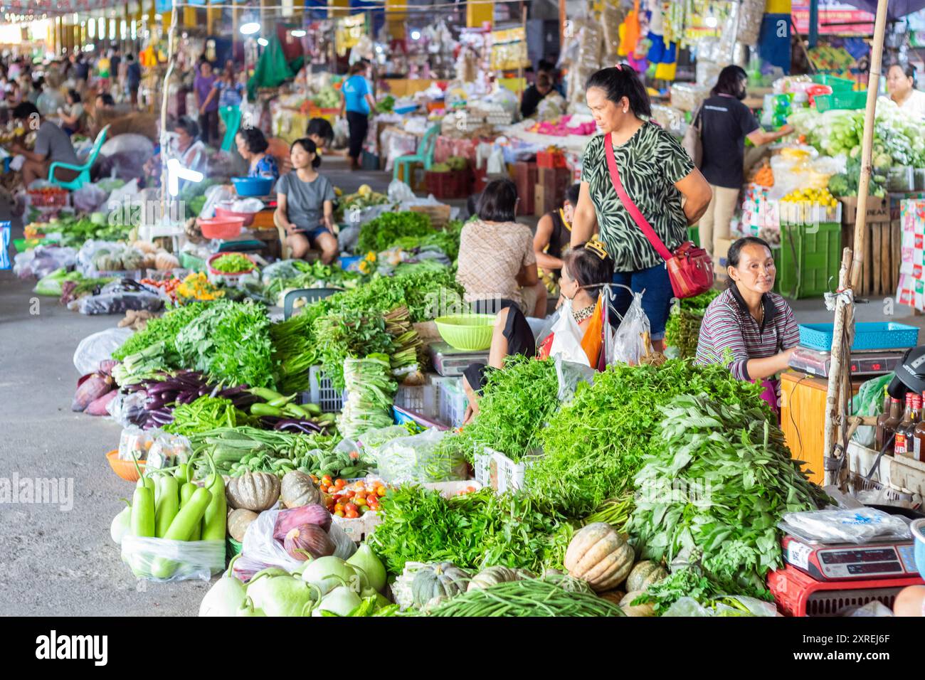 A typical Philippine market mostly selling vegetables in Ilocos Stock ...