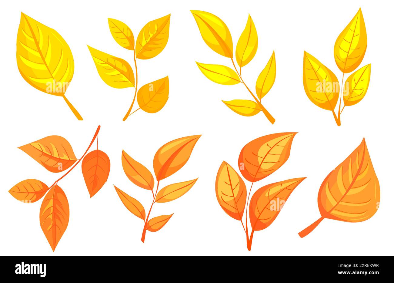 Various colorful autumn leaves in different shapes, illustrated in a ...