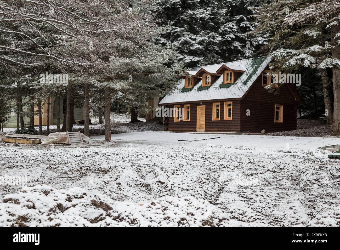 Wooden chalet in yard hi-res stock photography and images - Alamy