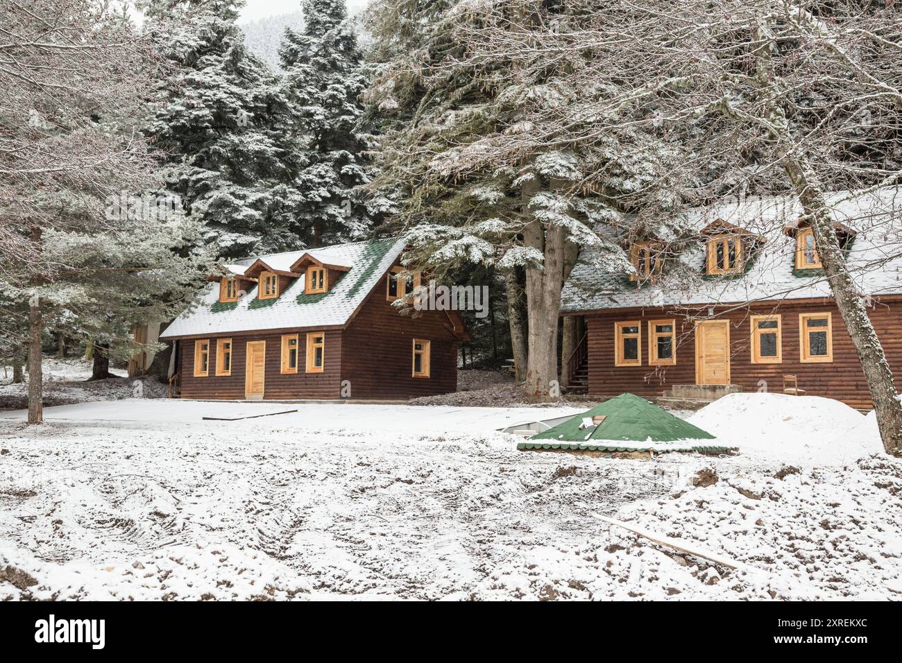 Wooden chalet in yard hi-res stock photography and images - Alamy