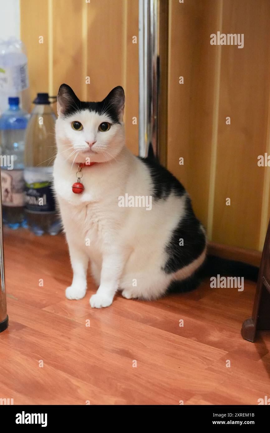 Photography of romania hi-res stock photography and images - Alamy