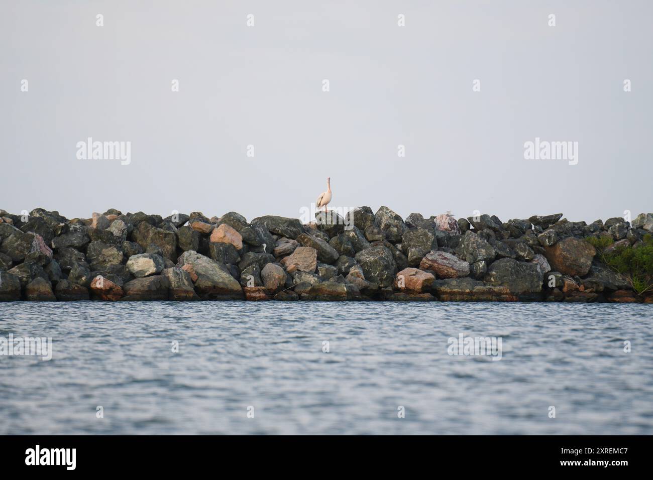 Delta shoreline hi-res stock photography and images - Alamy