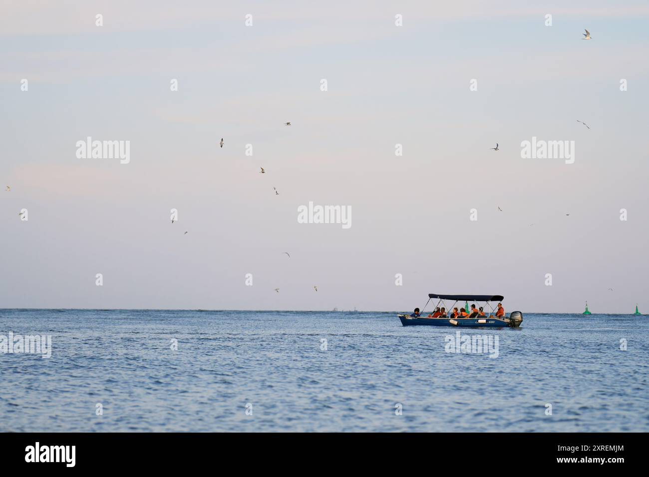Tourist Boat Surrounded by Seagulls on the Black Sea near Sulina ...