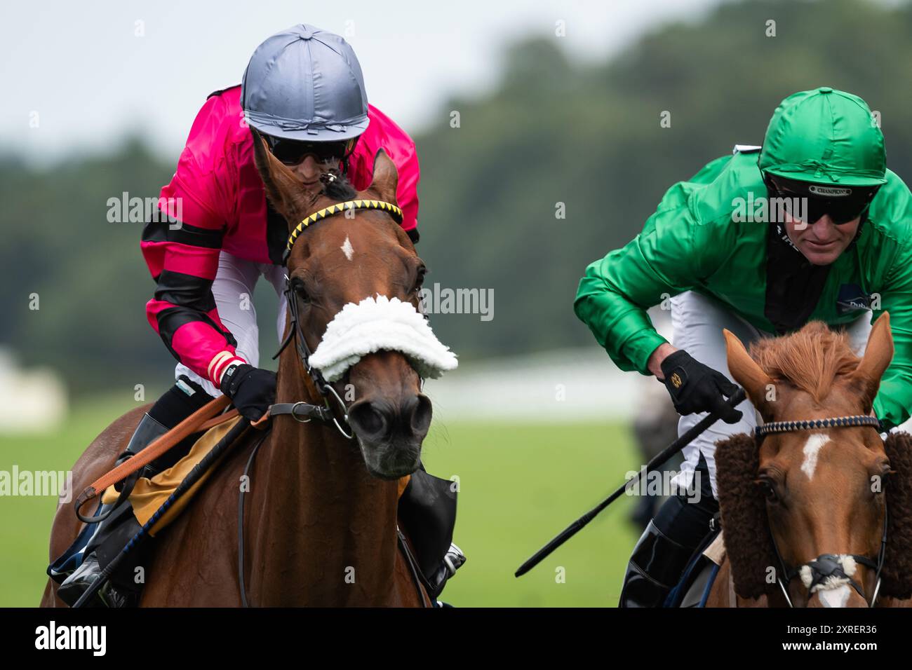 Chapparal racing hi-res stock photography and images - Alamy