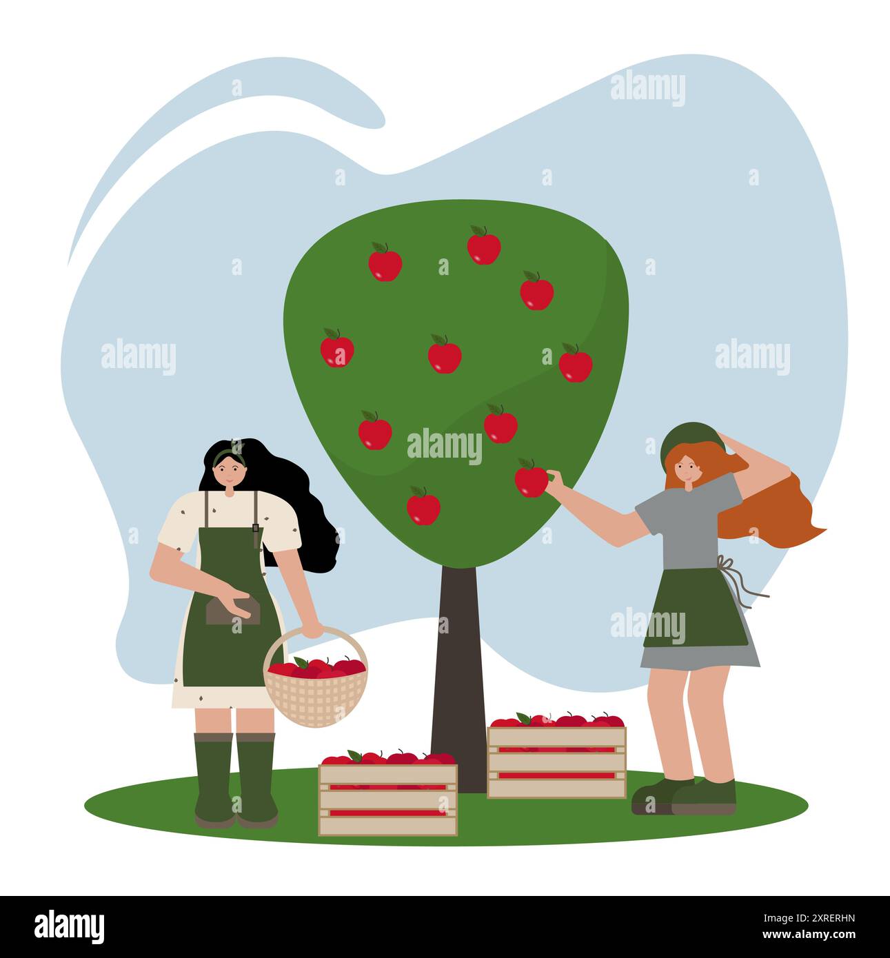 Harvest people illustration featuring women picking apples in autumn ...