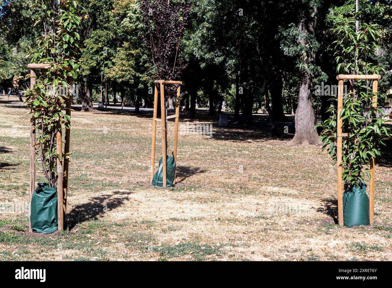 Slow Release PVC Watering Irrigation Bag for Trees Saving Watering ...