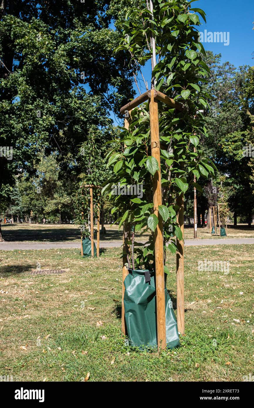 Slow Release PVC Watering Irrigation Bag for Trees Saving Watering ...