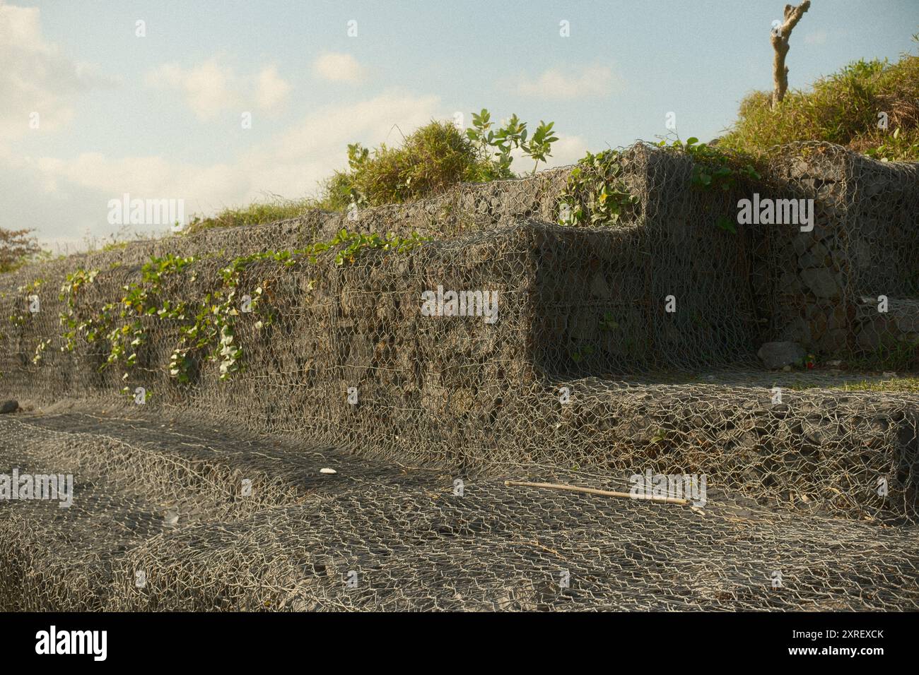 Soil erosion prevention hi-res stock photography and images - Alamy