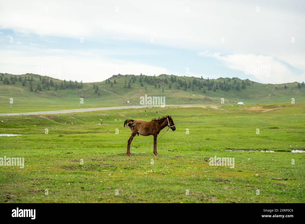Wide open spaces hi-res stock photography and images - Alamy