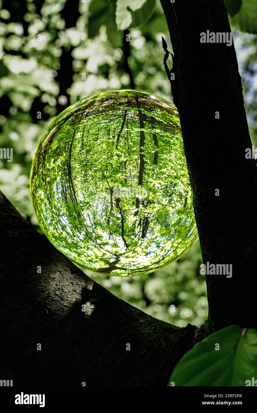 A glass orb captures light and reflections in a serene woodland ...