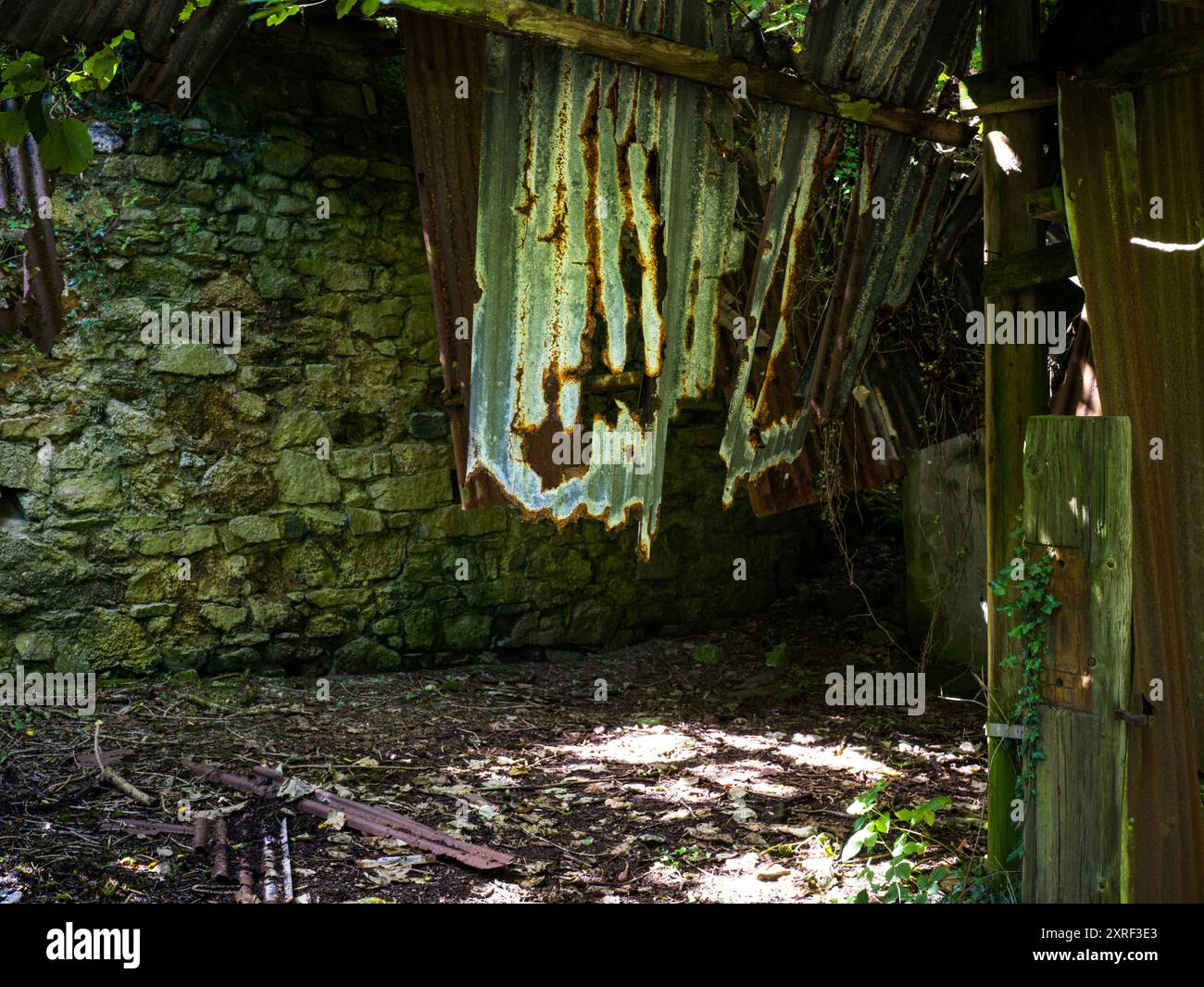 Corrugated Iron sheets in a derelict shed with dappled light Stock ...