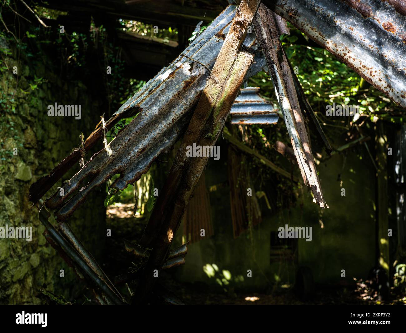 Corrugated Iron sheets in a derelict shed with dappled light Stock ...