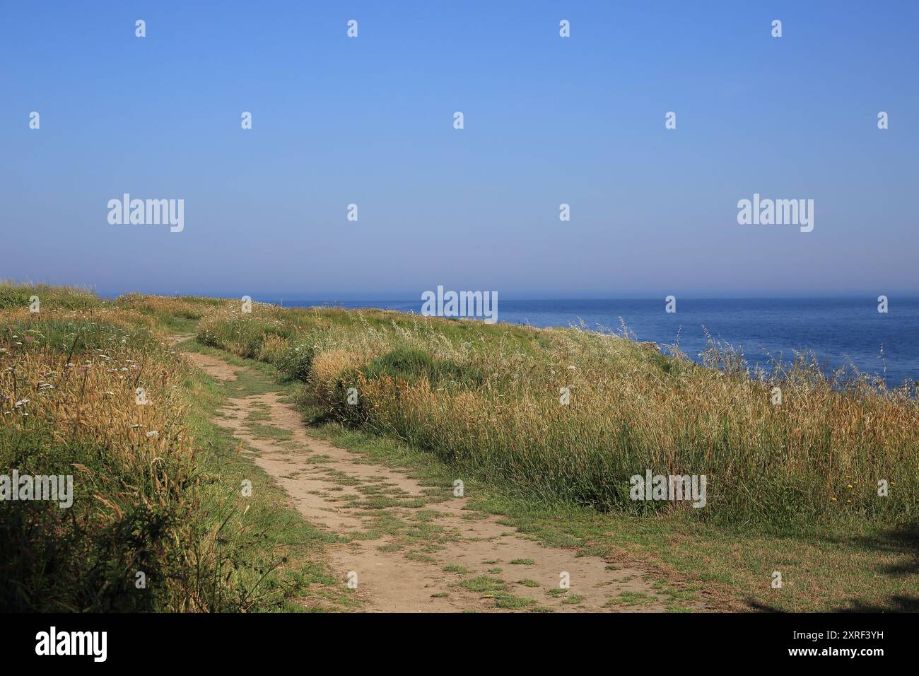 Coastal footpath (GR340) on La Pointe du Cardinal, Belle Ile en Mer ...