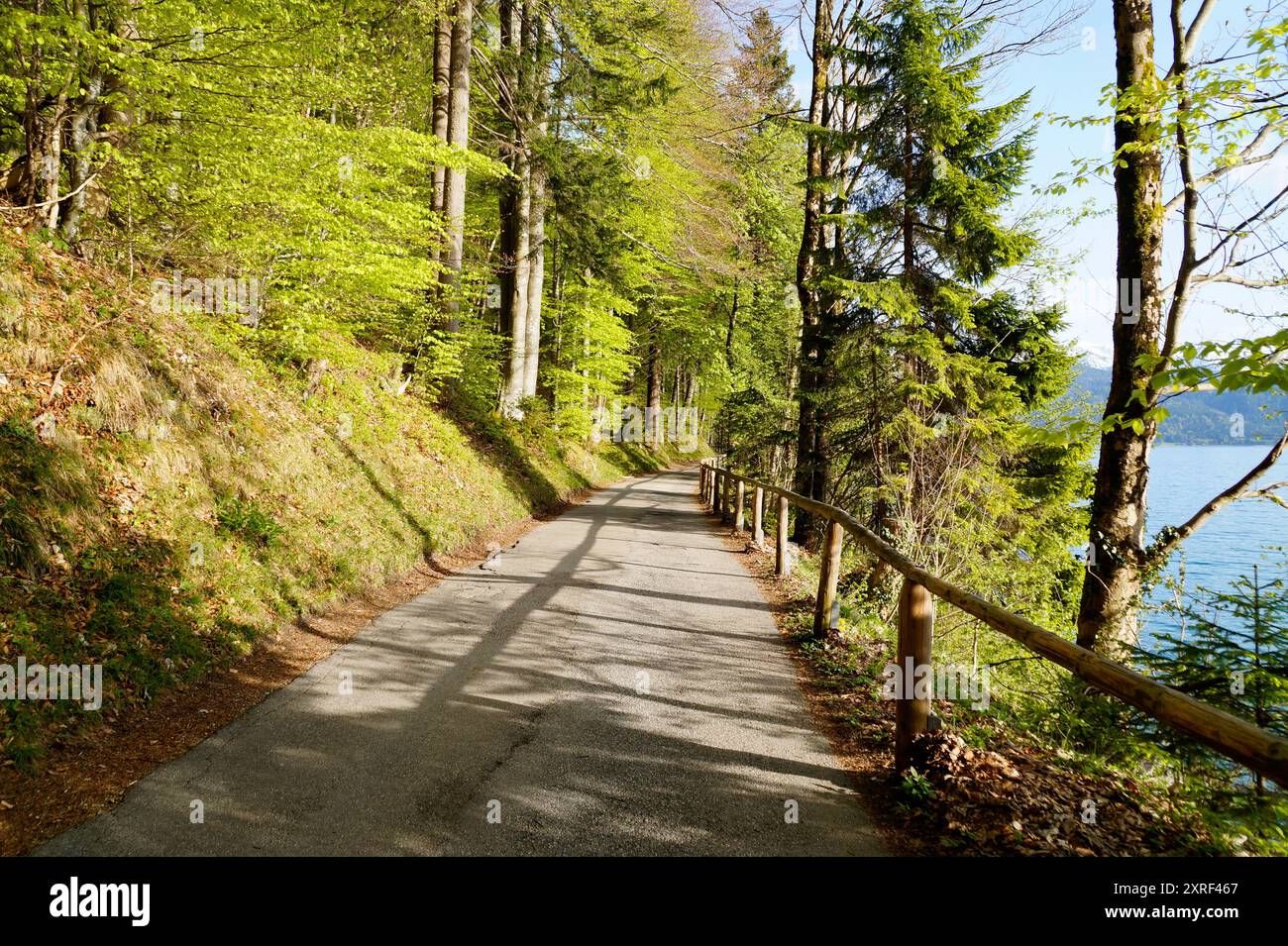 Footpath along alpine lake in hi-res stock photography and images - Alamy