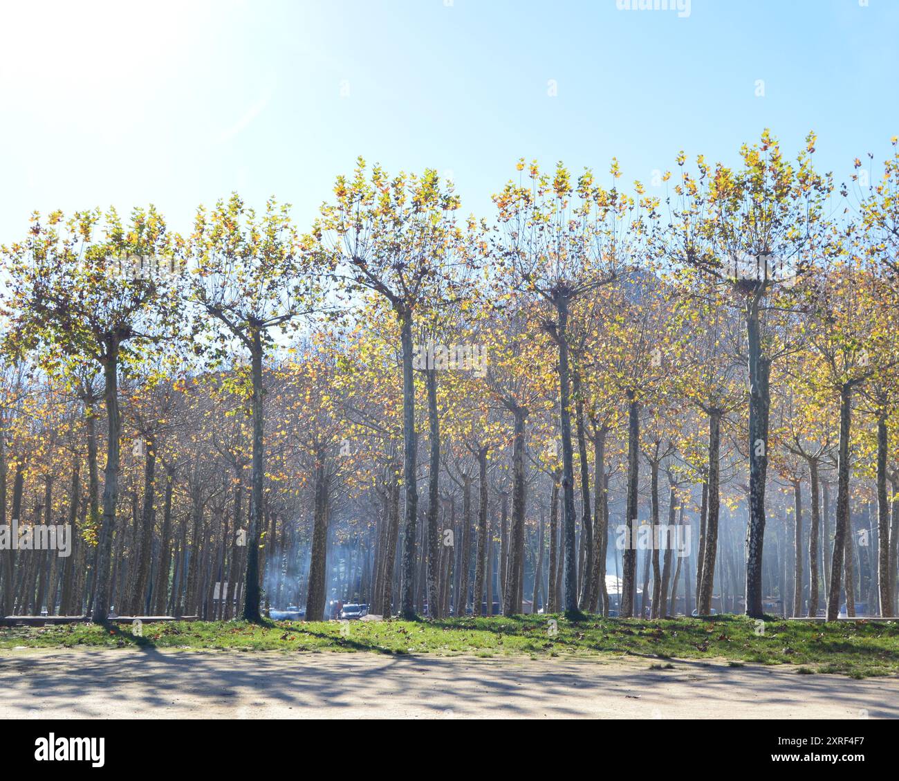 Paisajes pradera hi-res stock photography and images - Alamy