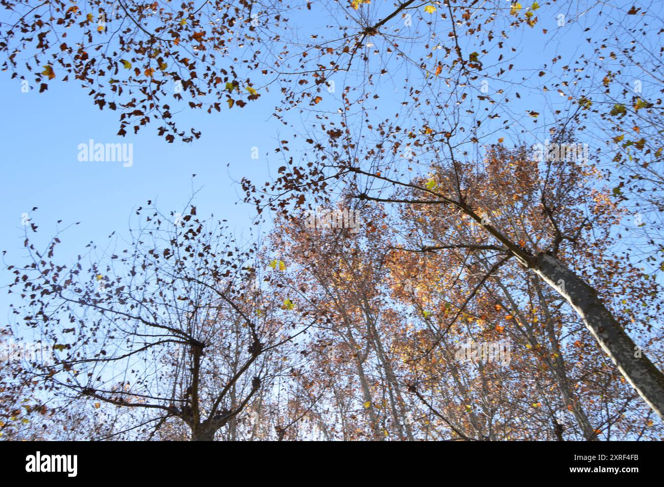 Paisajes de pradera paisajes hi-res stock photography and images - Alamy